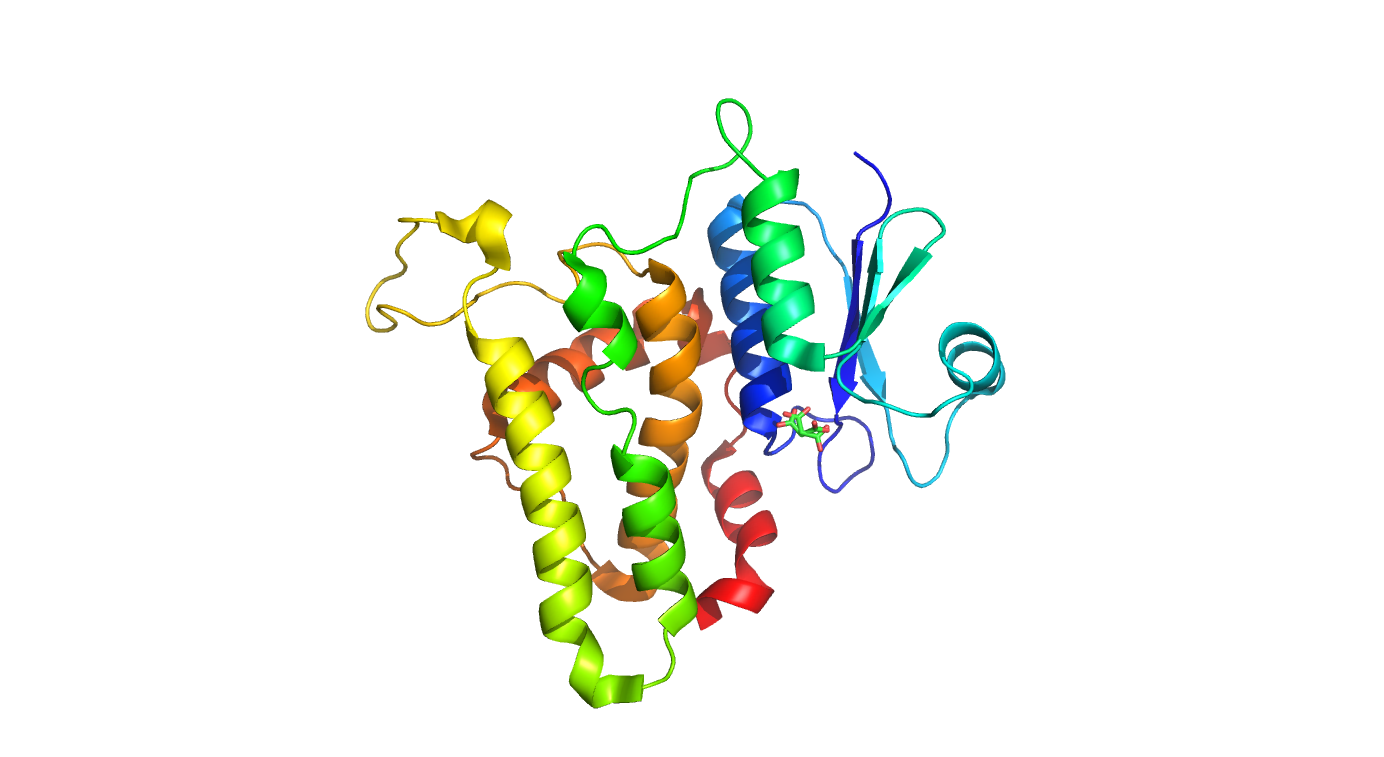 Current Research – Protein Structure and Function Laboratory